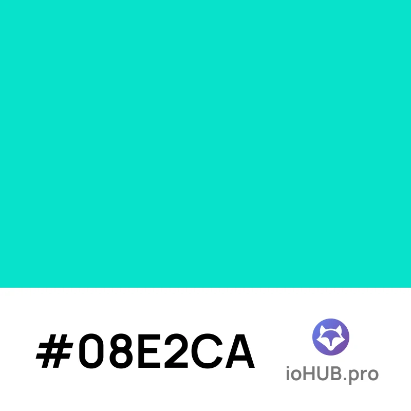 Color #08e2ca - Complete Guide and Values | ioHUB
